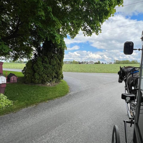 Aaron & Jessica's Buggy Rides - 12 tips from 575 visitors