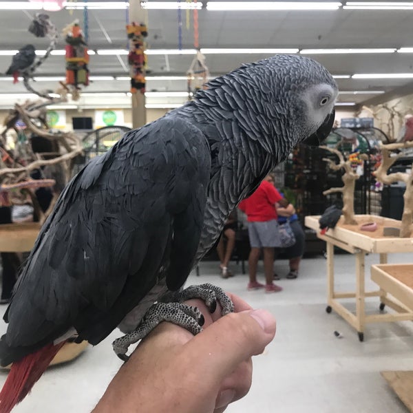 Todd Marcus Birds Exotic - Delran Township, NJ