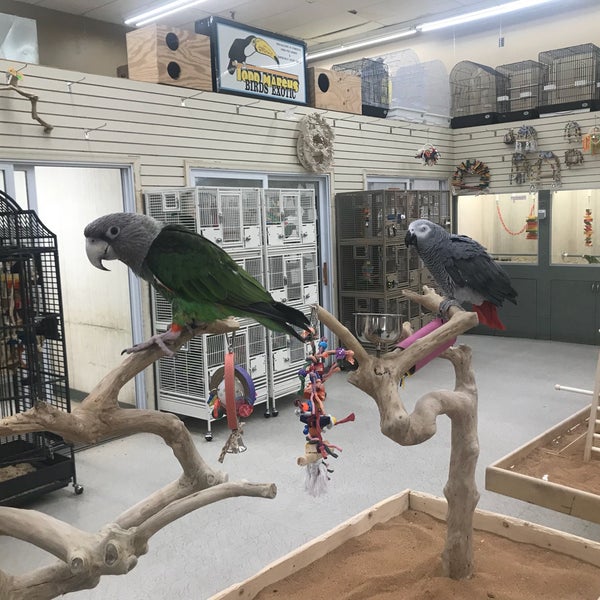 Todd Marcus Birds Exotic - Delran Township, NJ