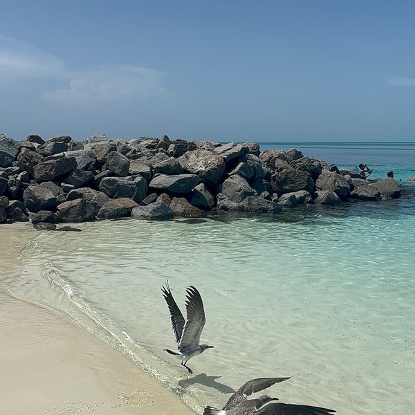 Cat Cay, Bahamas - 59 visitors