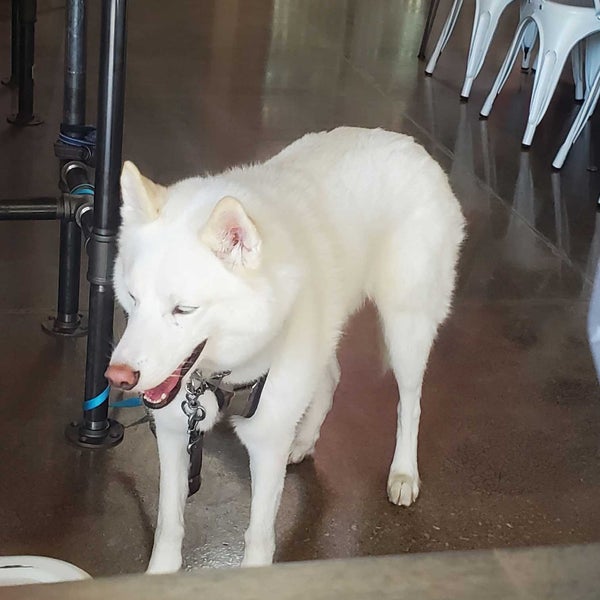 2 Fools Cider - Naperville, IL