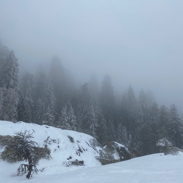 Giant Trees Meadow - Three Rivers, CA