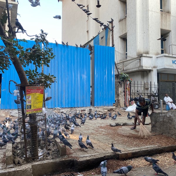 Voltas House - 31 visitors