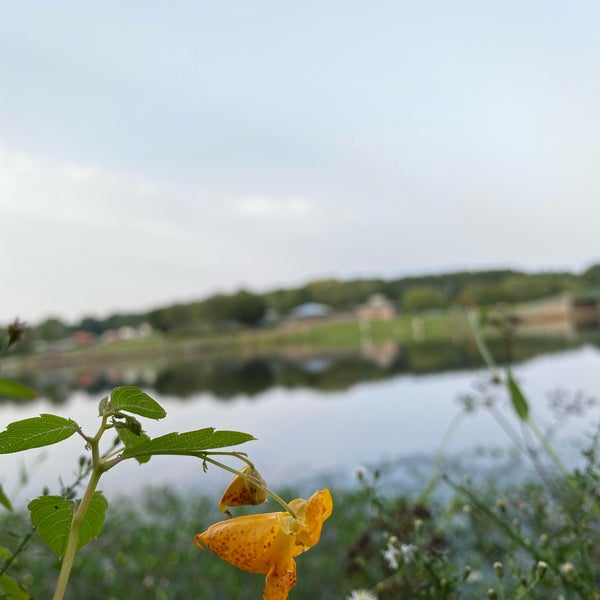 Water Mine Family Swimmin' Hole - 6 tips from 338 visitors