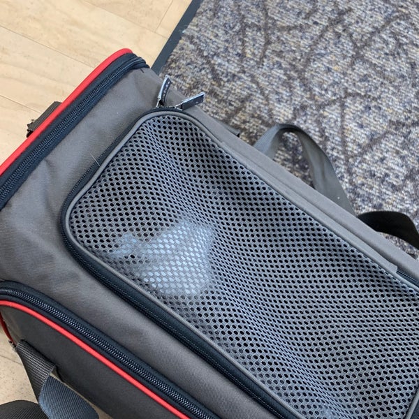 SF Pet Hospital - Panhandle - San Francisco, CA