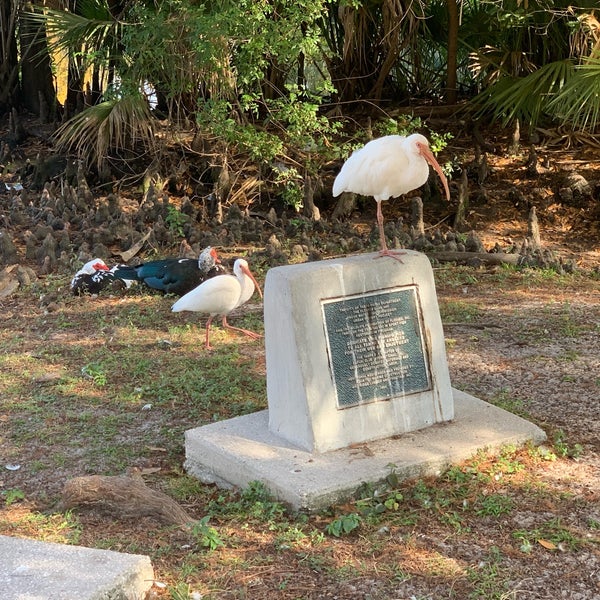 Al Lopez Park - Park in Al Lopez Park