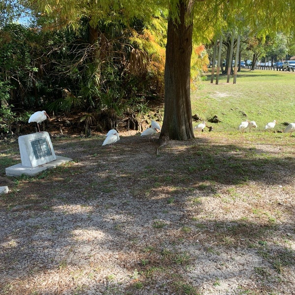 Al Lopez Park - Park in Al Lopez Park