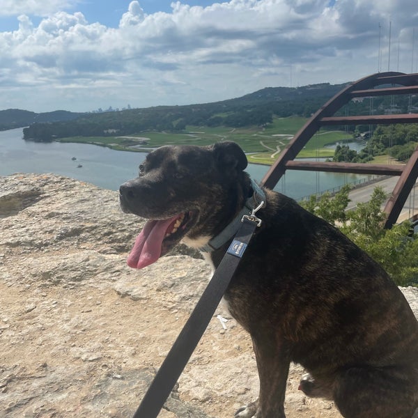 On A Rock (360 Cliff) - 10 tips from 681 visitors