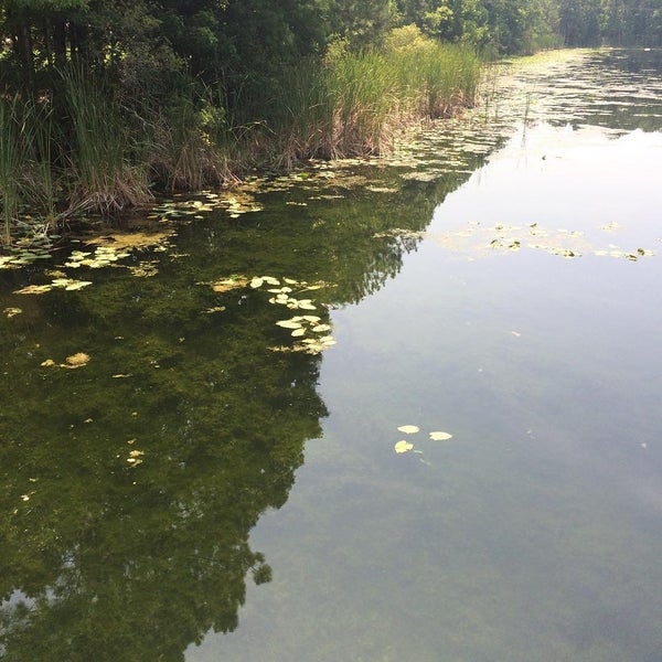 Photos at Robert W. Loftin Nature Trails at the University of North ...