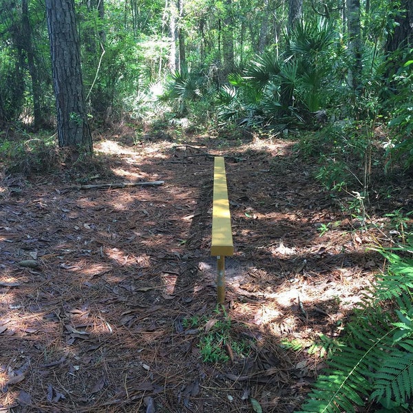 Photos at Robert W. Loftin Nature Trails at the University of North ...