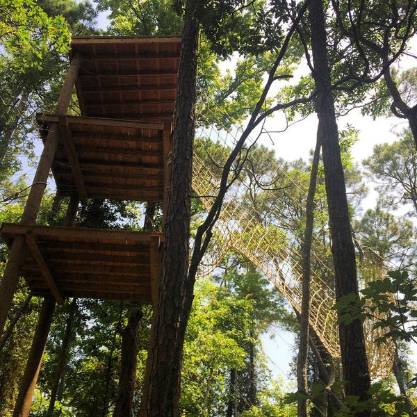 Photos at Robert W. Loftin Nature Trails at the University of North ...