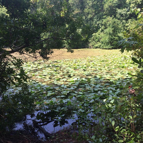 Photos at Robert W. Loftin Nature Trails at the University of North ...