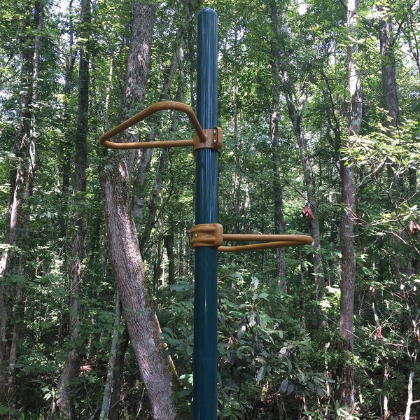 Robert W. Loftin Nature Trails at the University of North Florida ...