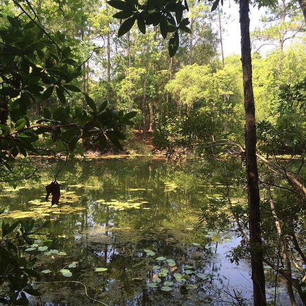 Photos at Robert W. Loftin Nature Trails at the University of North ...
