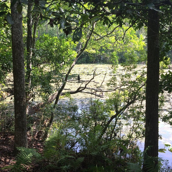 Photos at Robert W. Loftin Nature Trails at the University of North ...