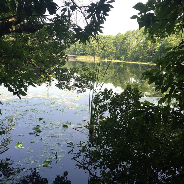 Photos at Robert W. Loftin Nature Trails at the University of North ...