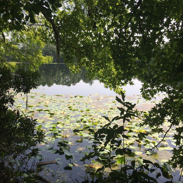 Photos at Robert W. Loftin Nature Trails at the University of North ...