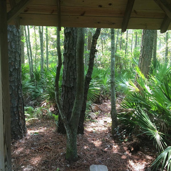 Photos at Robert W. Loftin Nature Trails at the University of North ...