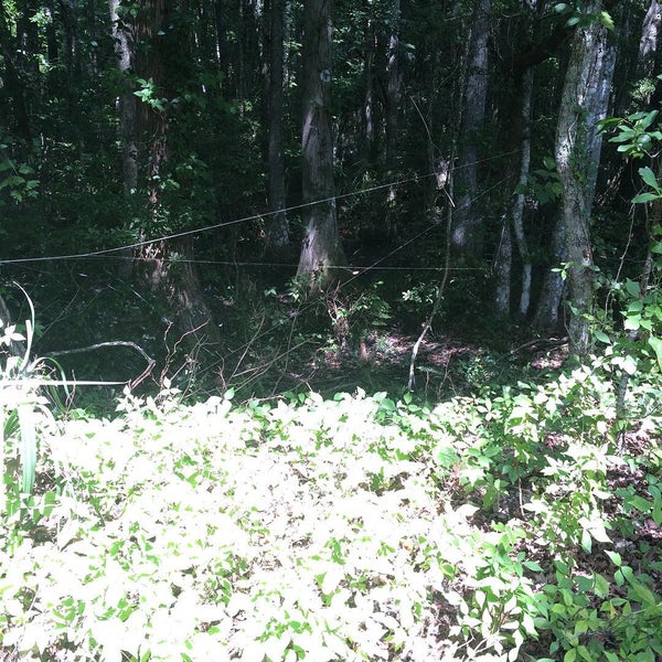Photos at Robert W. Loftin Nature Trails at the University of North ...