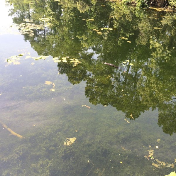 Photos at Robert W. Loftin Nature Trails at the University of North ...