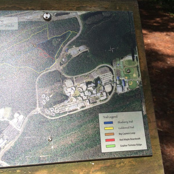 Photos at Robert W. Loftin Nature Trails at the University of North ...