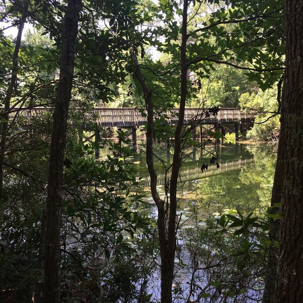 Photos at Robert W. Loftin Nature Trails at the University of North ...