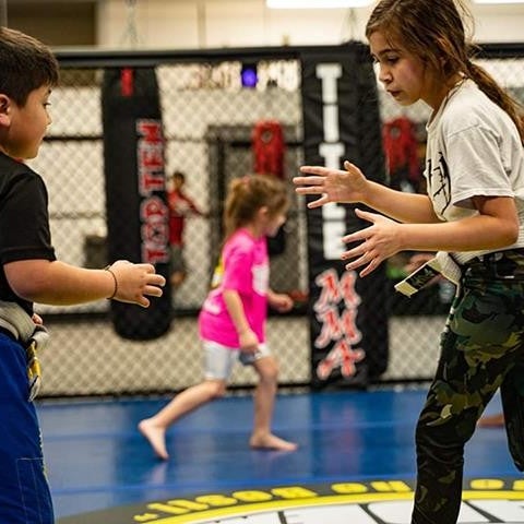 Smiley Academy of Martial Arts/Team Combat Athletix - Orange Park, FL