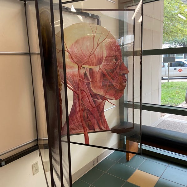 Seay Building (SEA) - College Academic Building in University of Texas ...