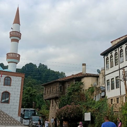 Ordu fatsa sahil - National Park