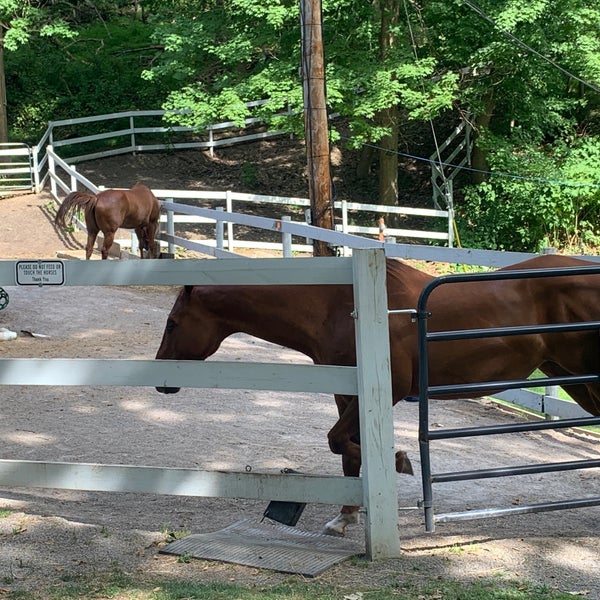 Camp Guyasuta - 300 23rd Street Ext