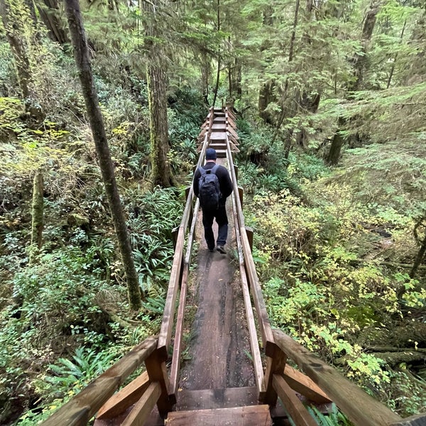 Rainforest Trail - Hiking Trail
