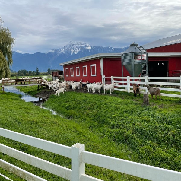 Farm House Natural Cheeses - Cheese Store in Agassiz