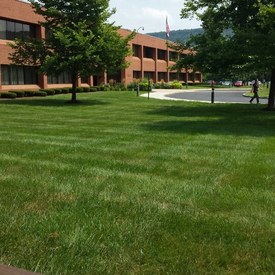 Chubb Specialty Insurance - 55 visitors