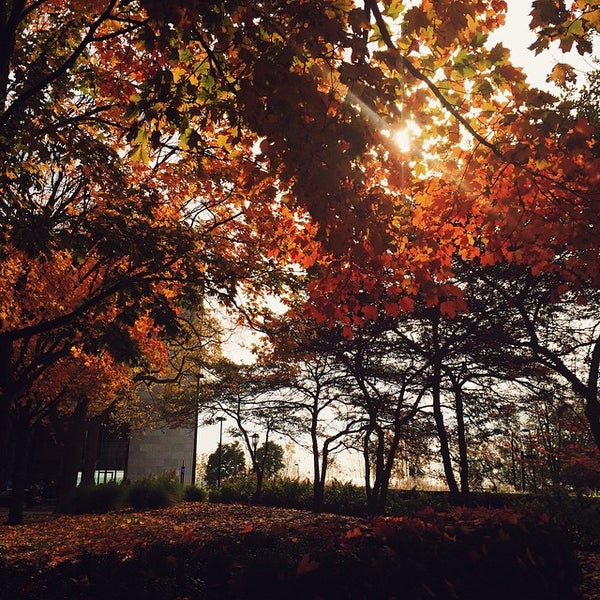 Fisk Hall - Evanston, IL