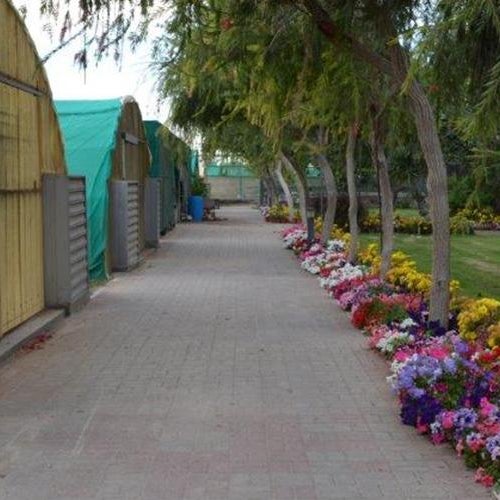 Mabrouk, PDO Field, Oman