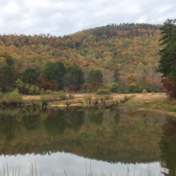Tanglewood Forest - Neighborhood in Murphy