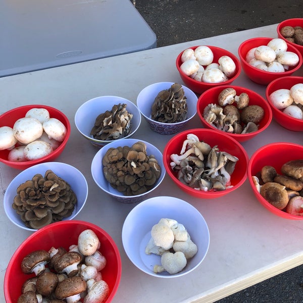 Inner Sunset Farmers Market - Inner Sunset - 1320 9th Ave