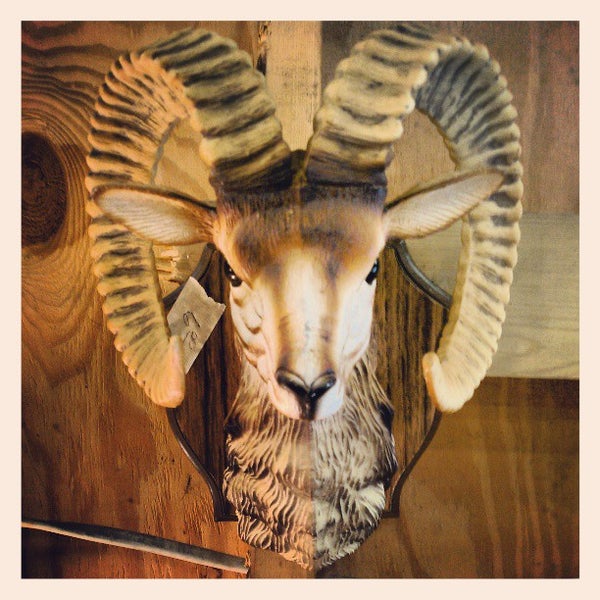 Mitchell Neilson Elementary School - Elementary School in Murfreesboro