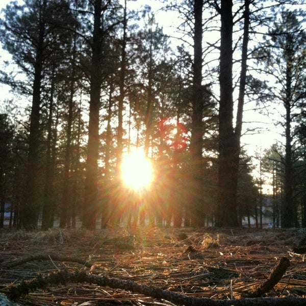 W. L. Gore & Associates - Woody Springs - Flagstaff, AZ