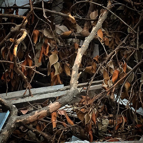 Sitio Bayabas - Taytay, Rizal