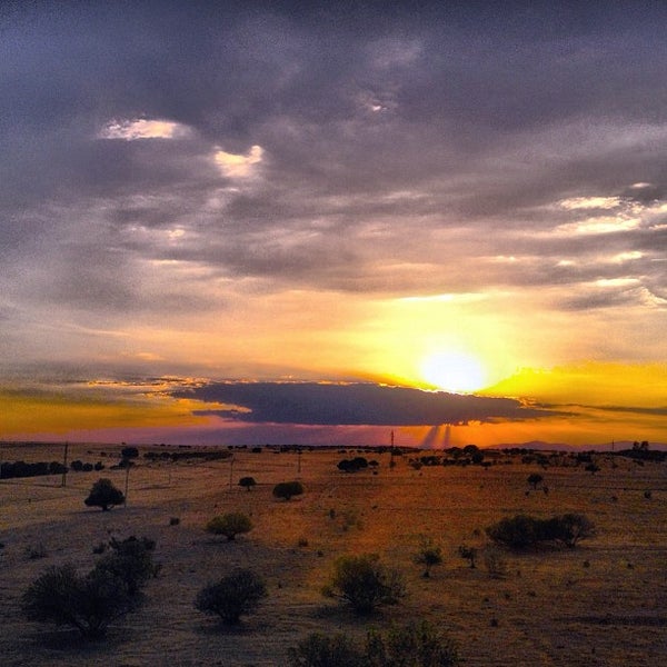 Monte de El Pardo - El Pardo - 1 tip from 176 visitors