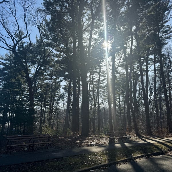 Forest Park - 42 tips