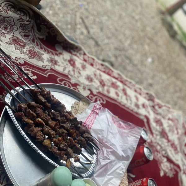 Punel Forest | جنگل پونل - Forest