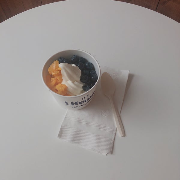 The Lifeway Kefir Shop - East Ukrainian Village - 18 tips