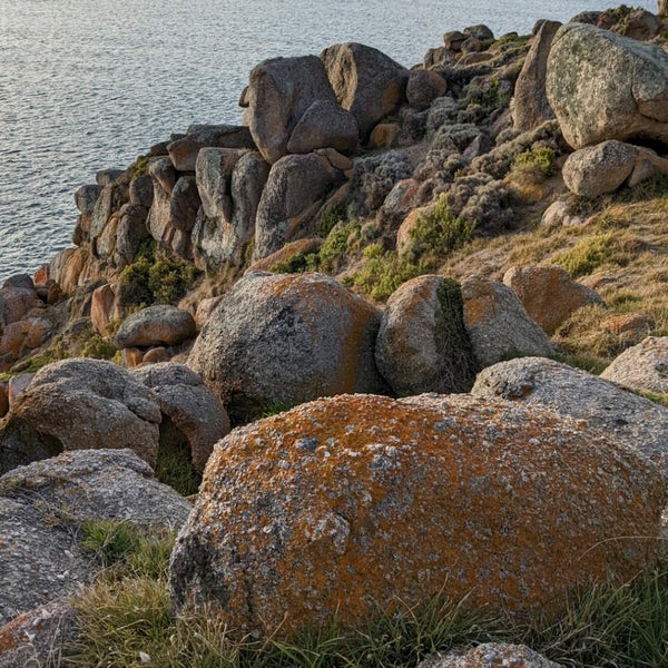 Granite Island - 10 tips from 657 visitors