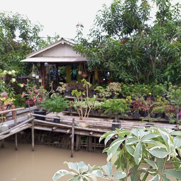 Jondol Tani Tanaman Hias - Flower Shop in Kecamatan Lelea