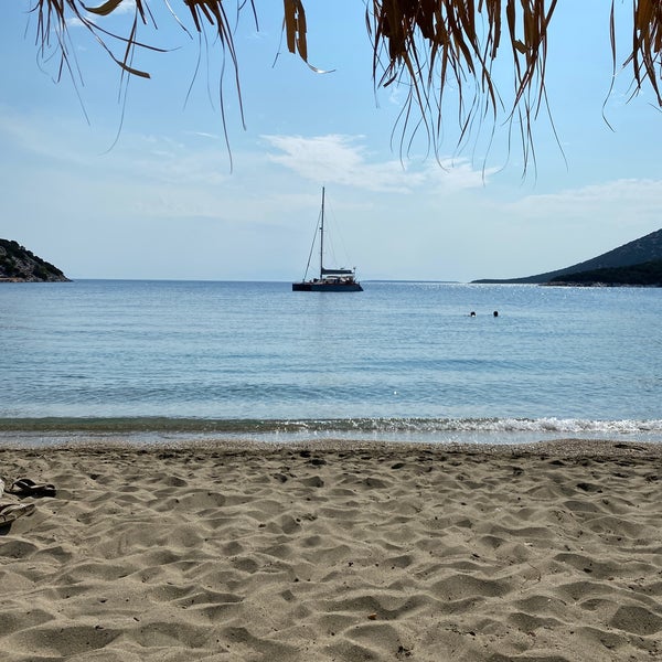 Παραλία Πεύκος (Pefkos beach) - Beach in Σκύρος