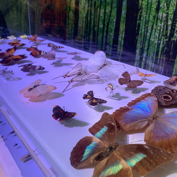 Parque Nacional Walter Thilo Deininger - Mountain