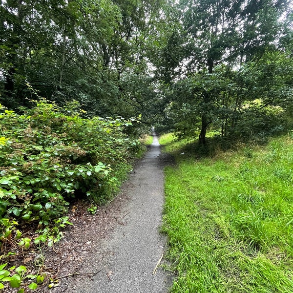 Firth Park - Firth Park - 3 tips