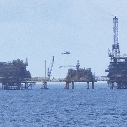 Talisman Bunga Raya A Platform